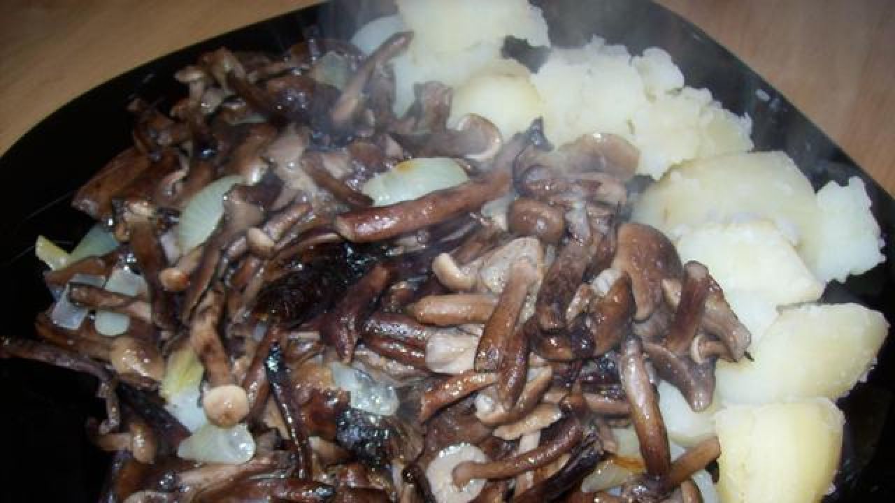 Przepis - grzyby opieńki obiadowe przepis - Gotujmy.pl