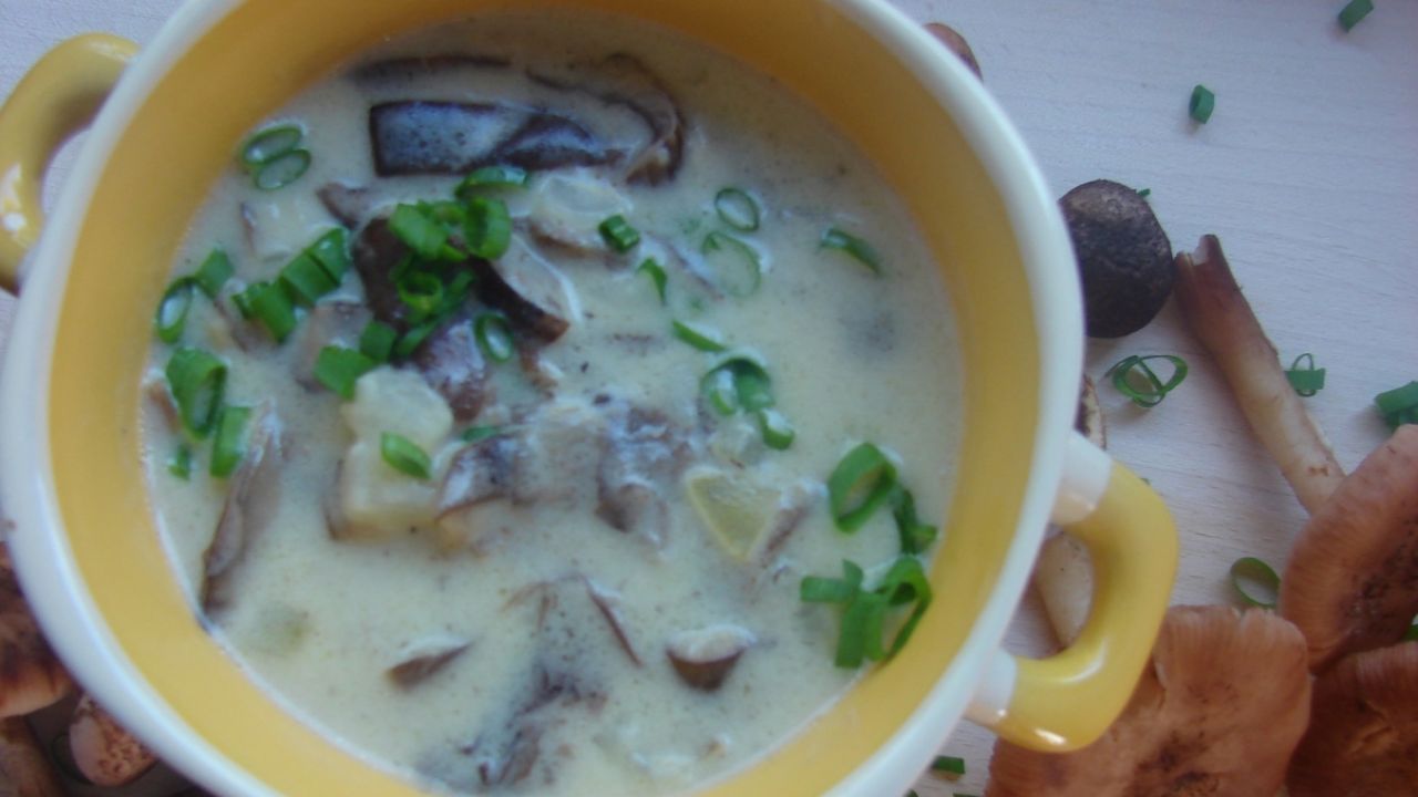 Przepis na Przepis Kulinarny: Sos z opieniek