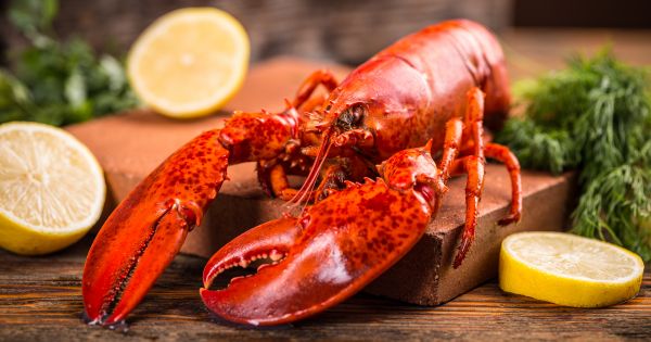 Jak ugotować homara?